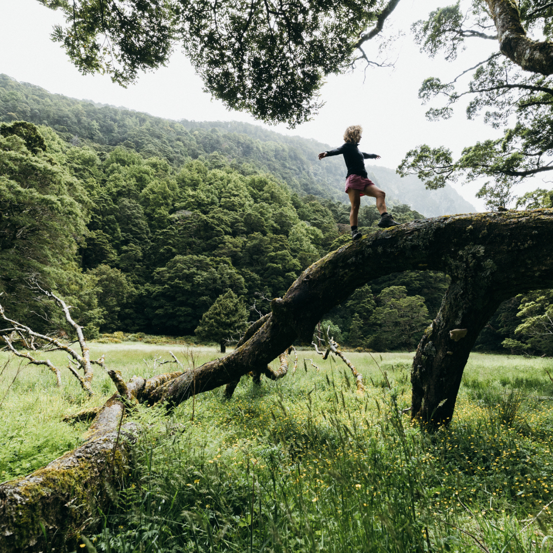 Giro Cielo MIPS Bike Helmet – Racers Edge NZ